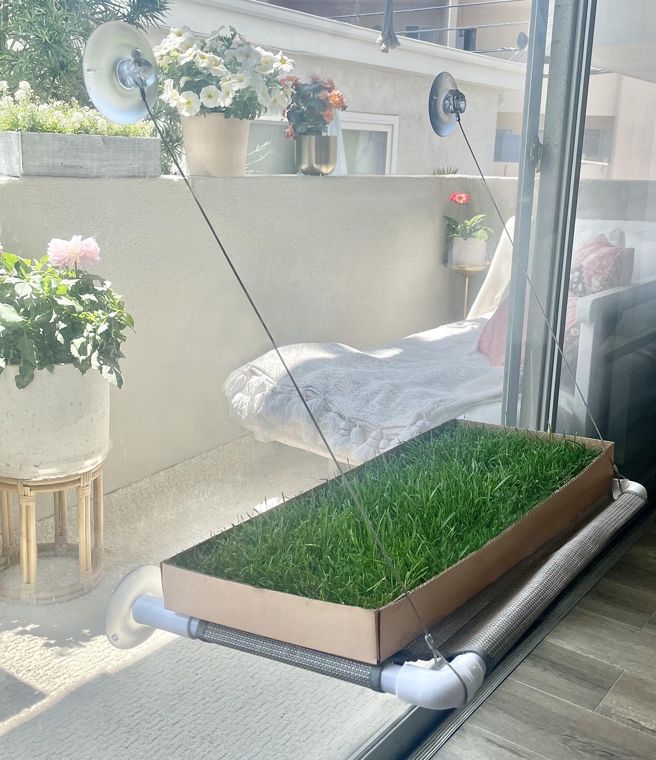 Premium Window Perch – kittylawn